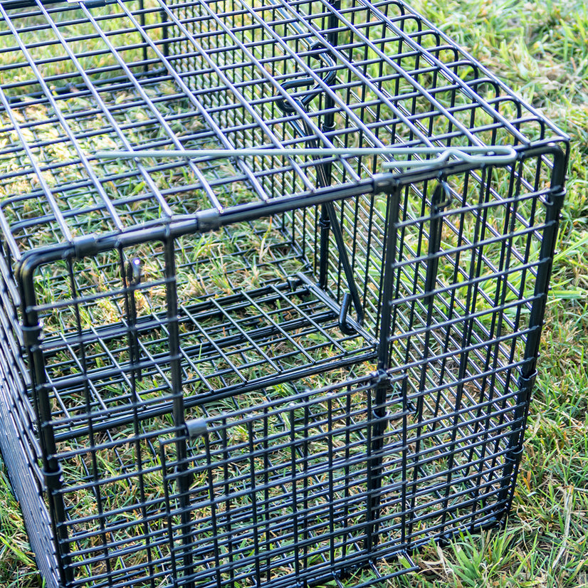 Pestgard Cage Trap - Pro Version – Sunfish Fish Farms